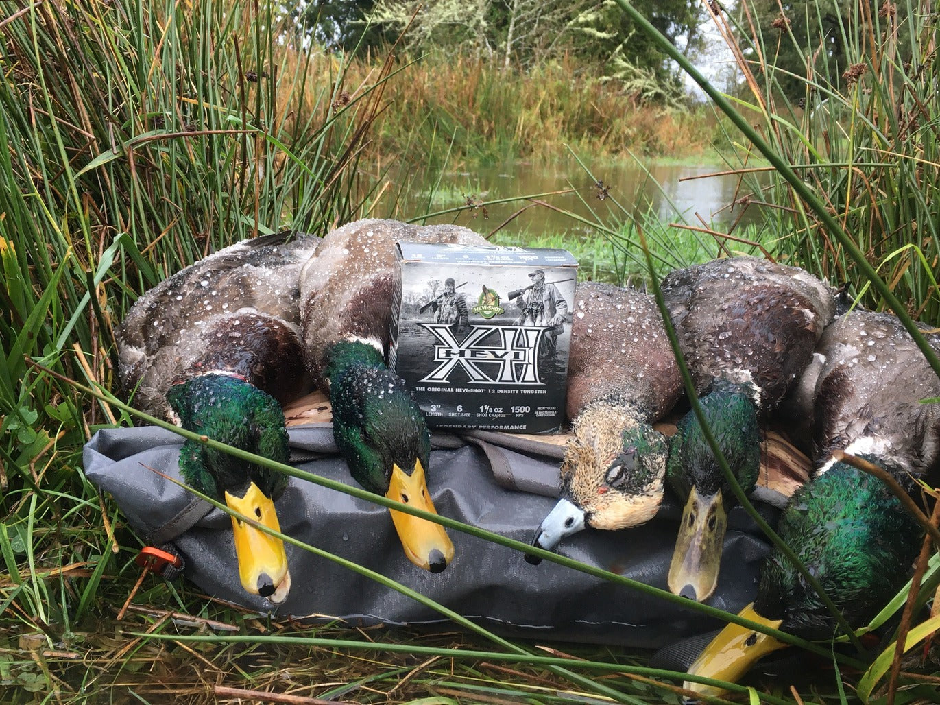 Late-Season Duck Hunting Tips: Strategies to Succeed in January - TideWe